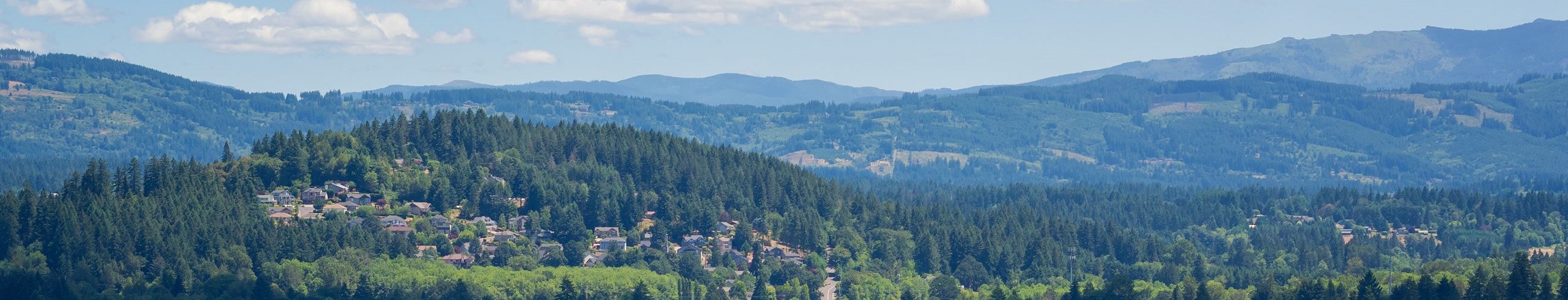 Tyler.IncidentManagement.Portal.Web