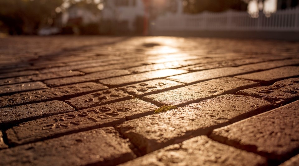 Tyler.IncidentManagement.Portal.Web