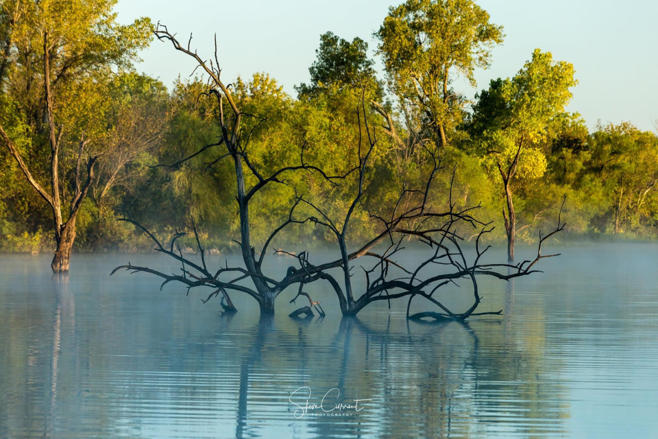 Tyler.IncidentManagement.Portal.Web