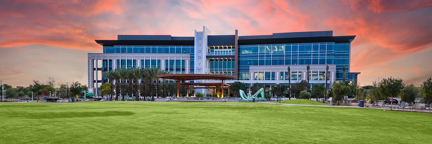 Home [cityofgoodyearaz.tylerportico.com]