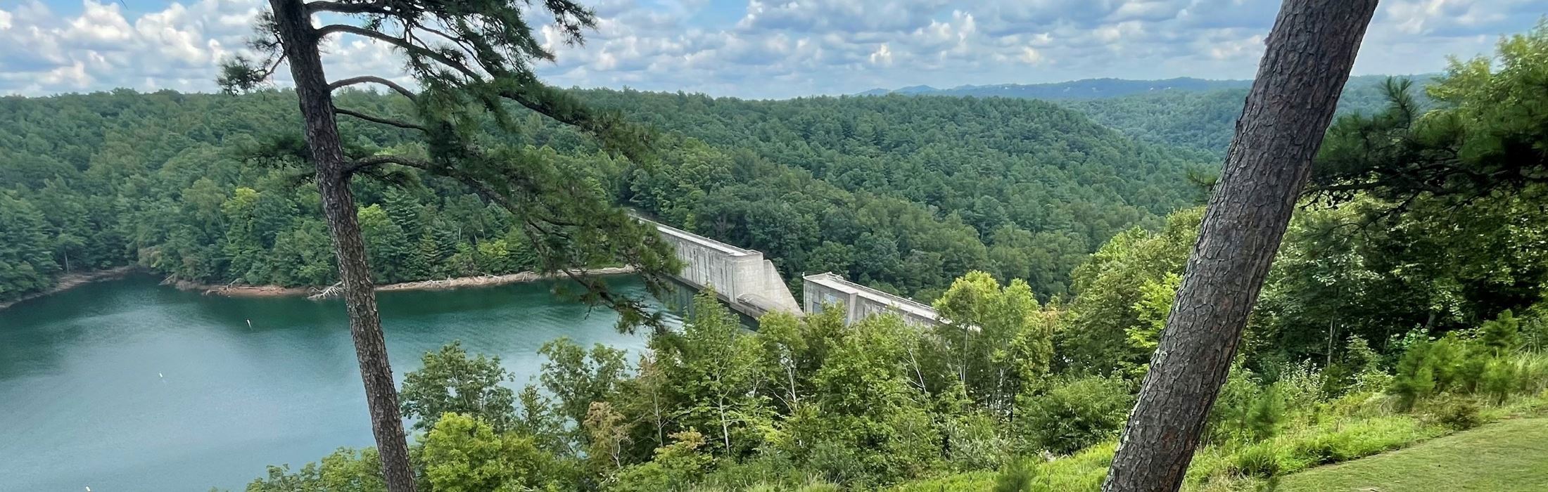 Home [hcpsava.tylerportico.com]