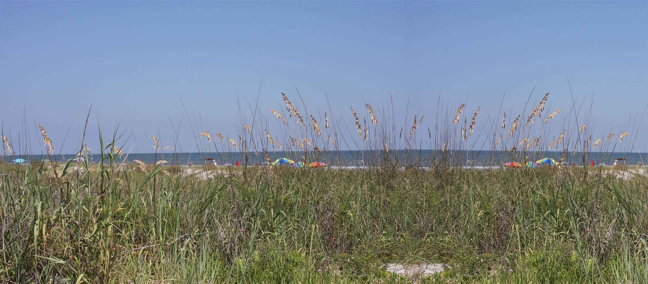 Home [townofhiltonheadislandsc.tylerportico.com]